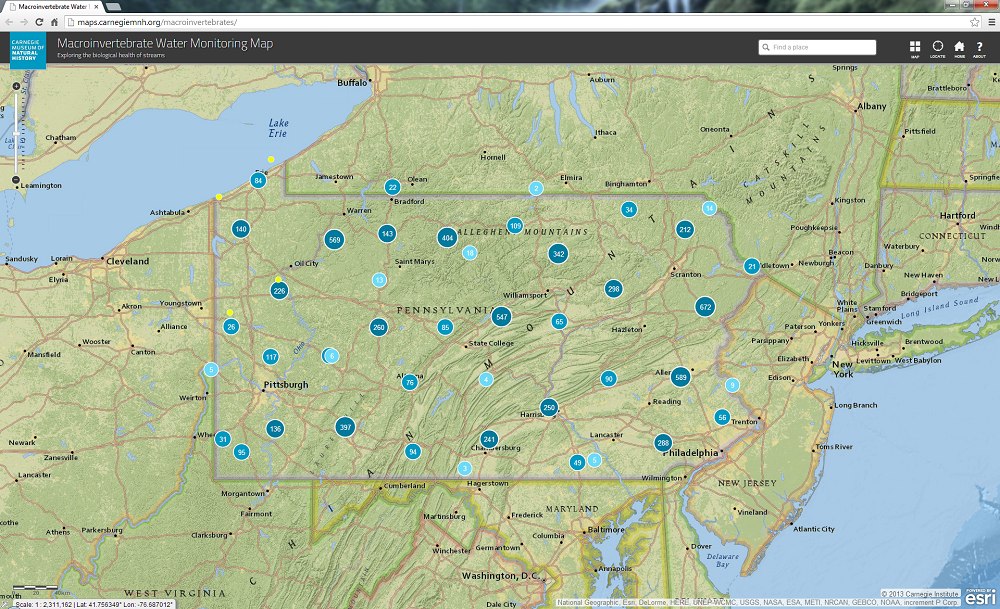 Macroinvertebrate Water Monitoring Map Wins Best App at PA GIS Conference